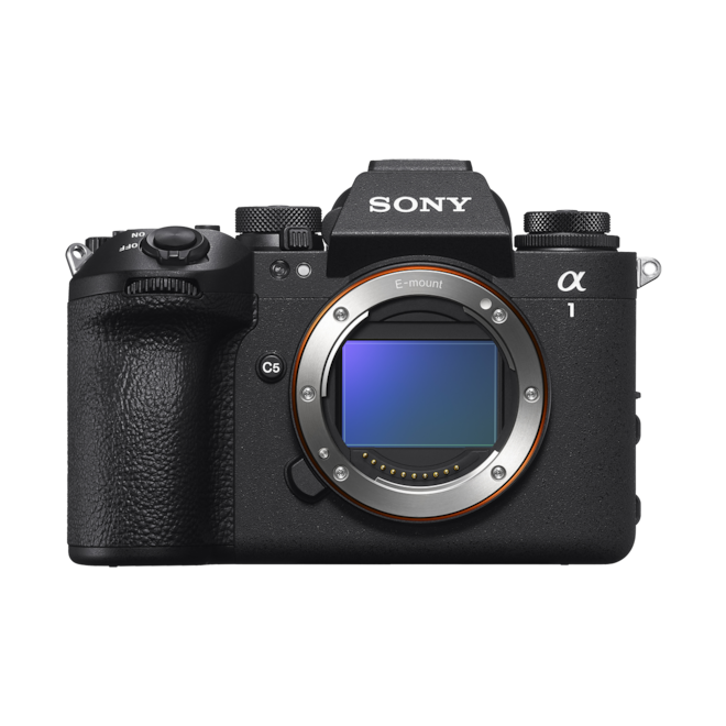 Galeria | Câmeras de Lentes Intercambiáveis | Sony Brazil